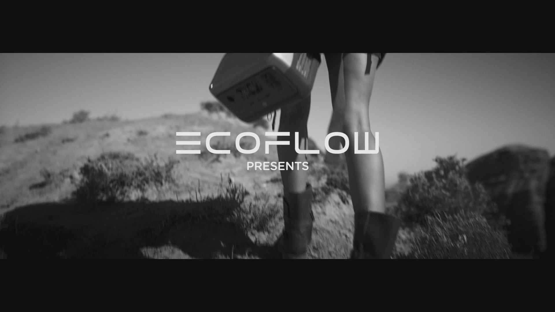 Empowering Lifestyle: EcoFlow - Innovative Portable Power Solution